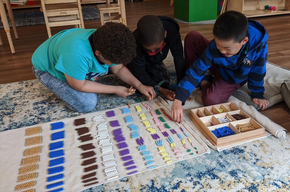 Montessorium - It's Montessori, all grown up.